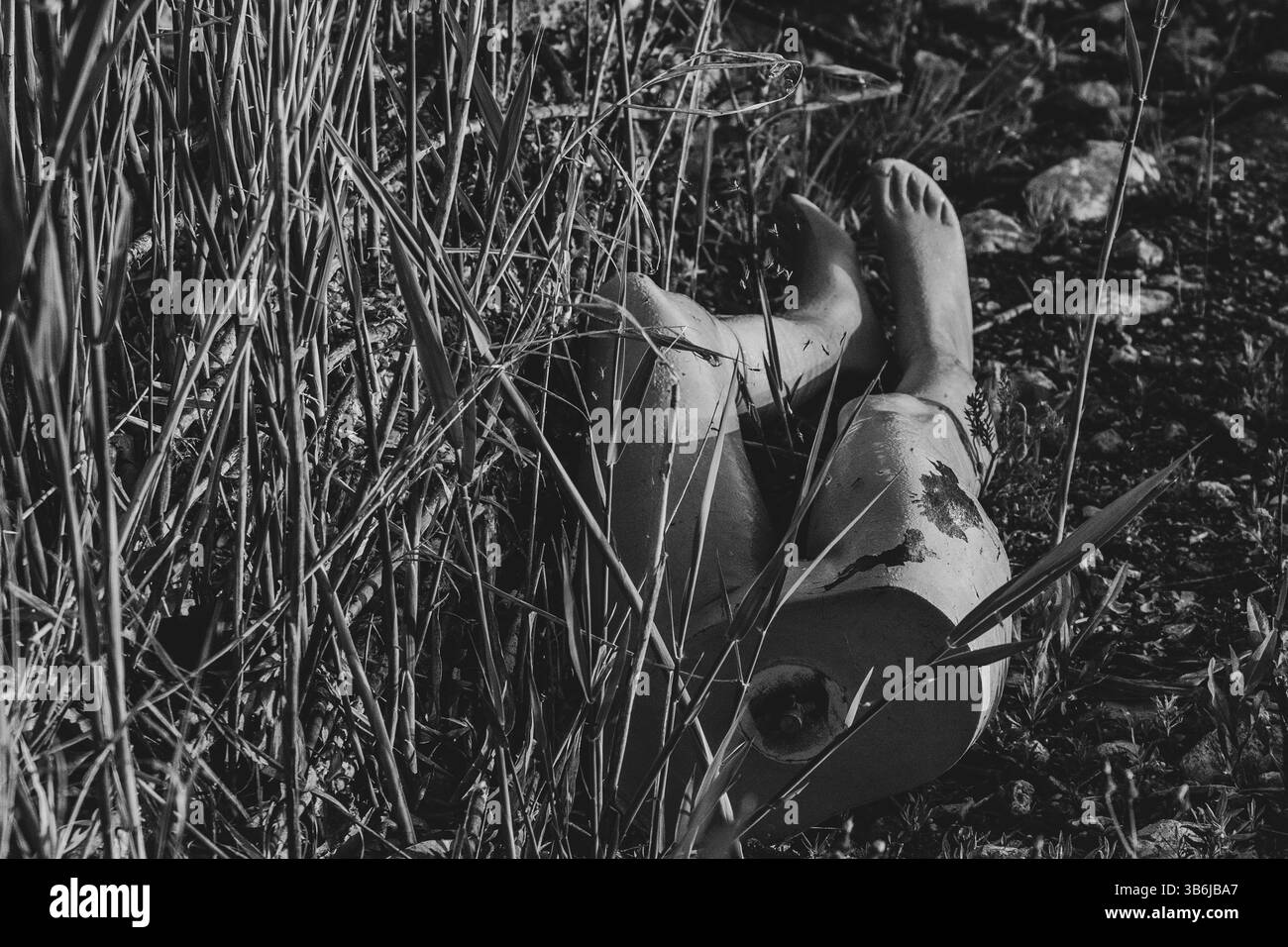 Discovery in summer Black and White Stock Photos & Images - Alamy