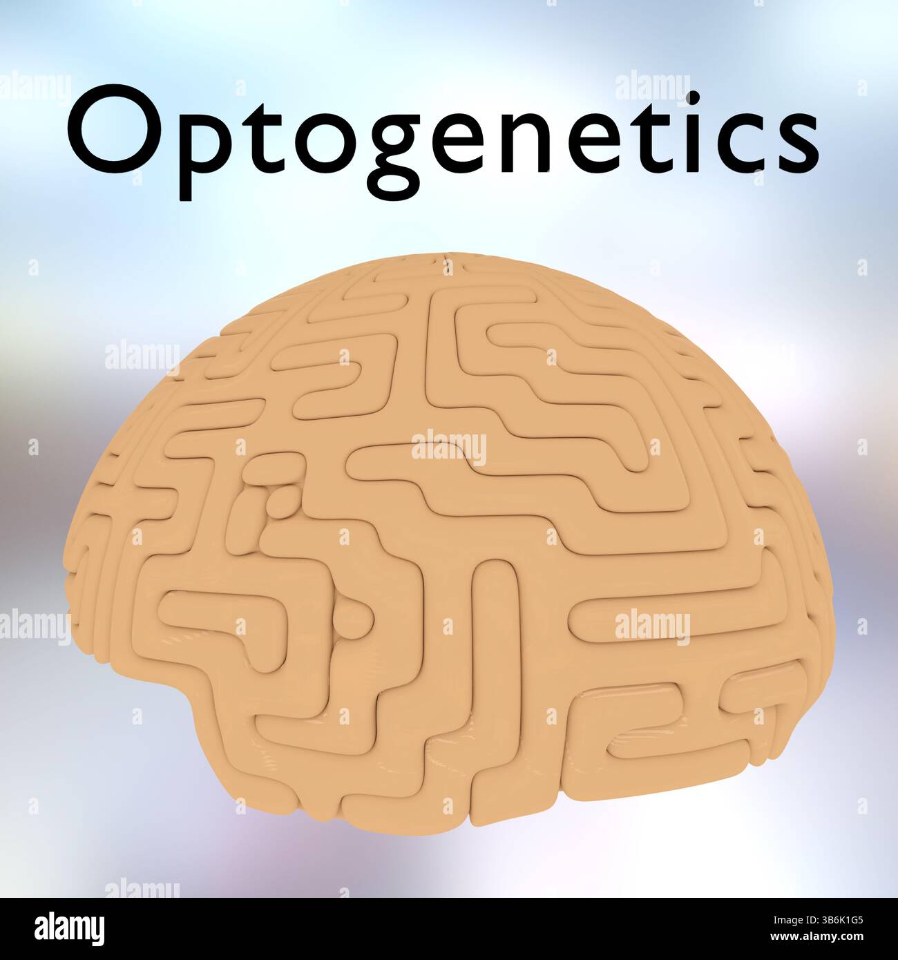 Optogenetics hi-res stock photography and images - Alamy