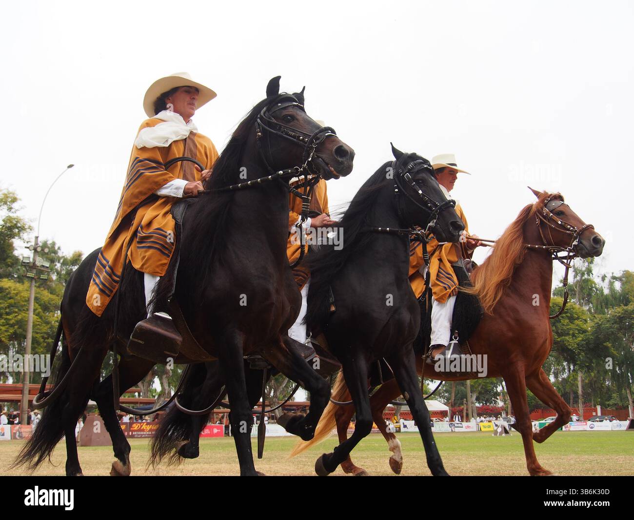 April 19, 2024, Lurin, Lima, Peru: Peruvian horses and riders, known as ...