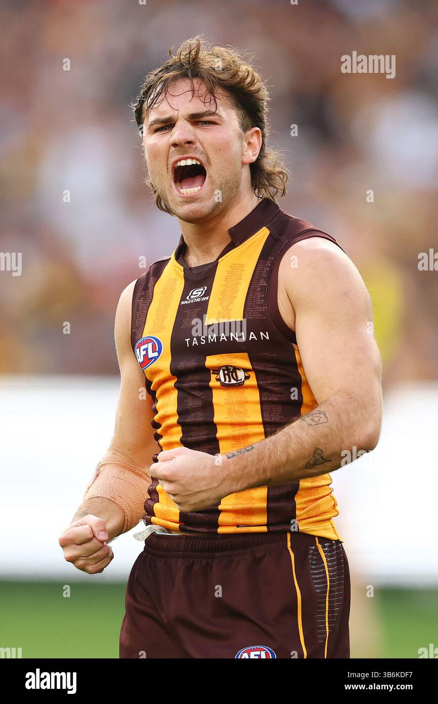 Nick Watson of the Hawks celebrates a goal during the AFL Round 8 match ...