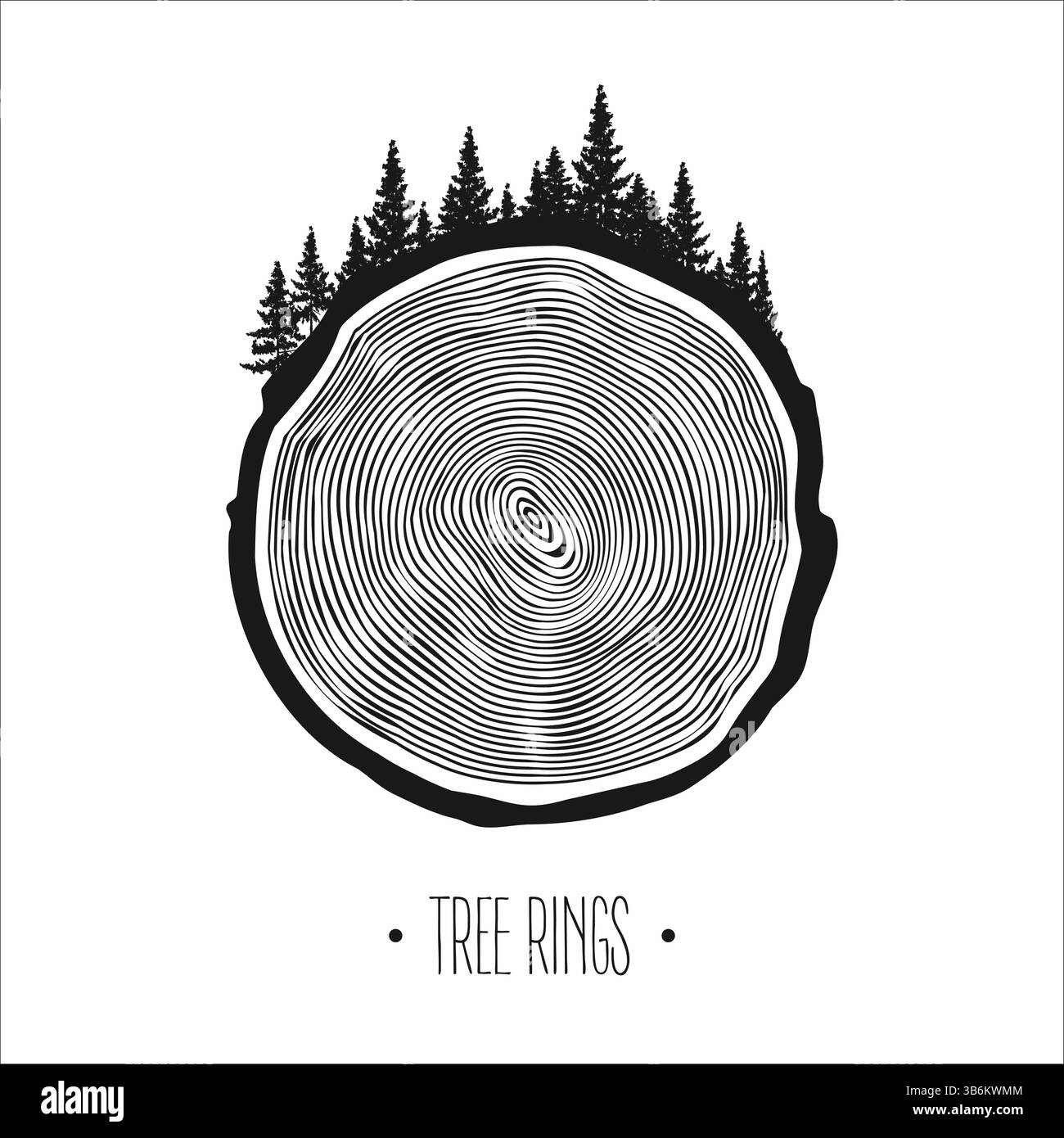 Round tree trunk cut with trees and forest. Sawn pine or oak slice ...