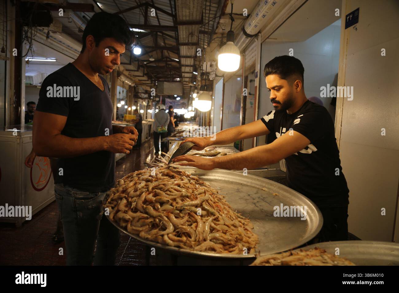 April 28, 2024, Bushehr, Iran: An Iranian fishmonger prepares shrimp ...