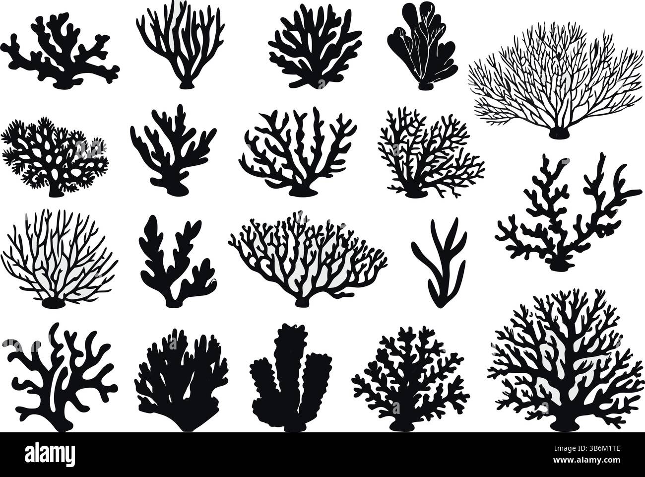 Various seaweed species Stock Vector Images - Alamy