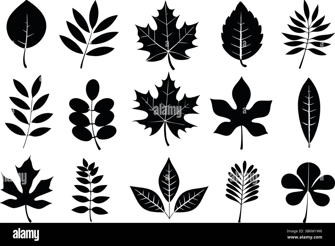 Leaf Vector Art - Botanical Nature Illustrations and Design Elements ...