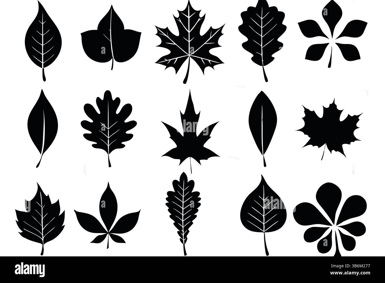 Leaf Vector Art - Botanical Nature Illustrations and Design Elements ...