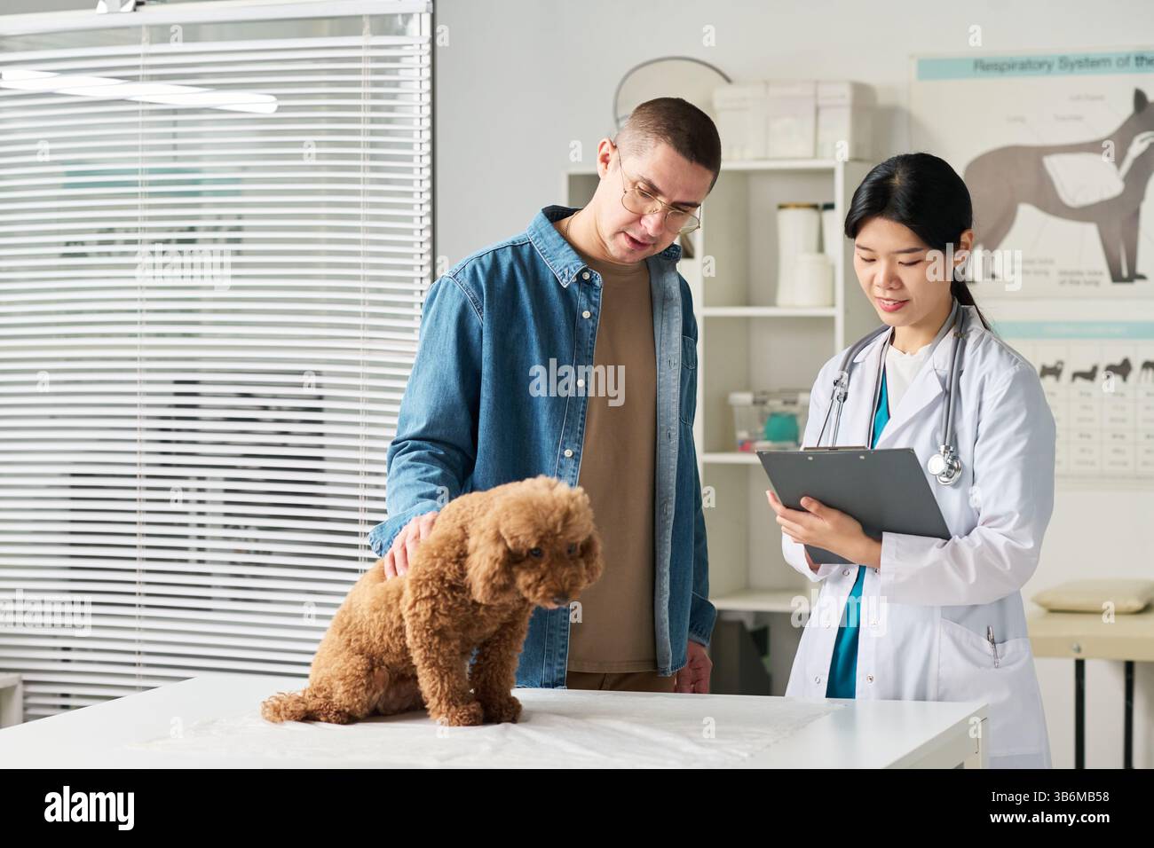 Vet Doctor Taking Notes and Consulting Pet Owner Stock Photo - Alamy
