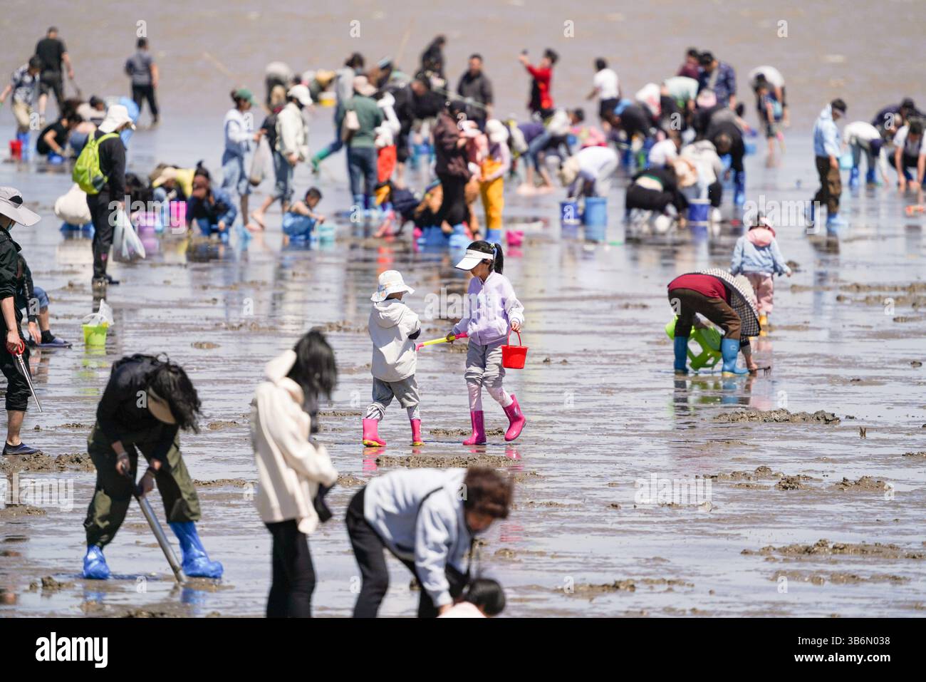 Tianjin. 3rd May, 2025. Tourists search for marine creatures on a beach ...