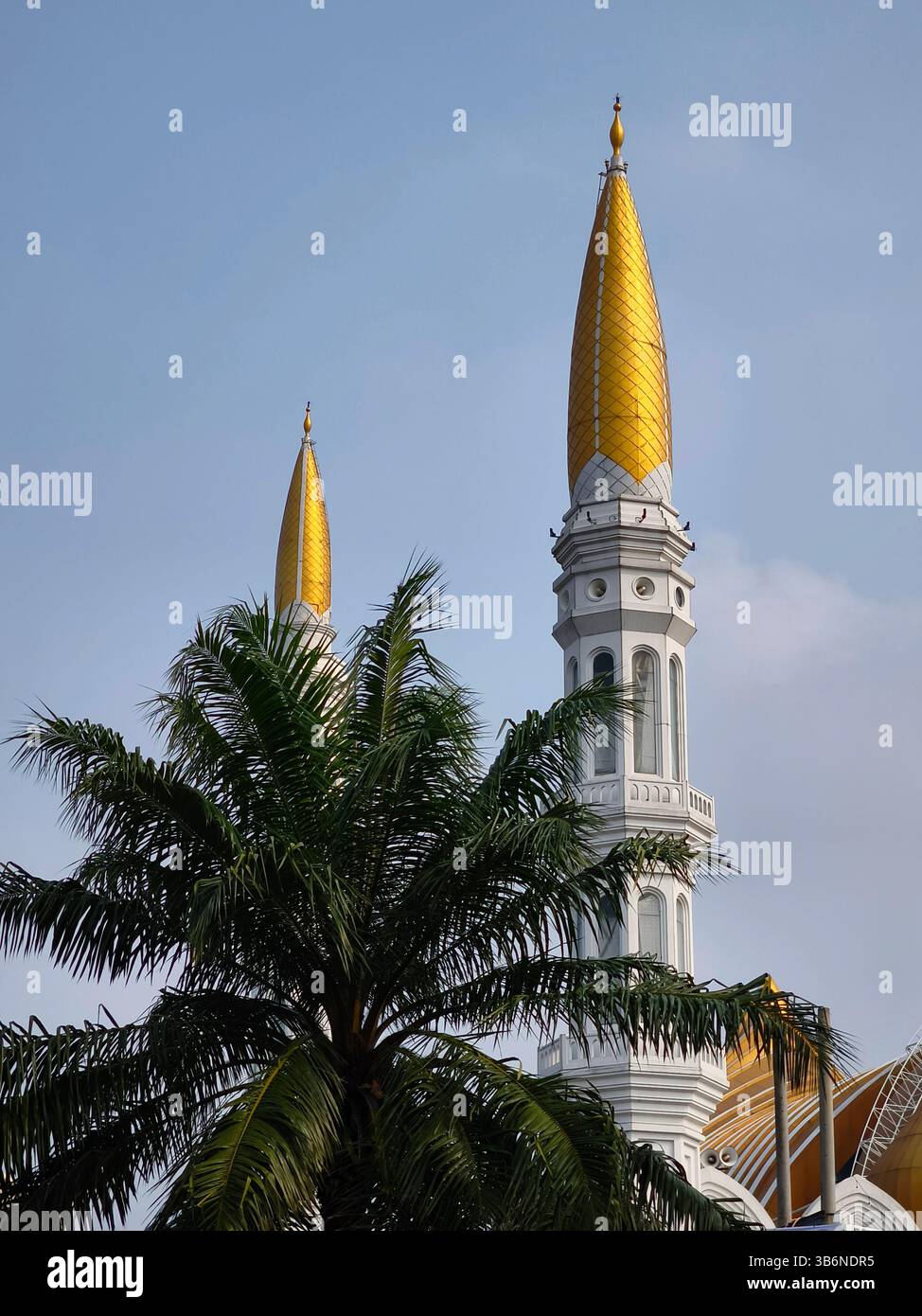 The beautiful mosque towers behind the coconut tree leaves Stock Photo ...