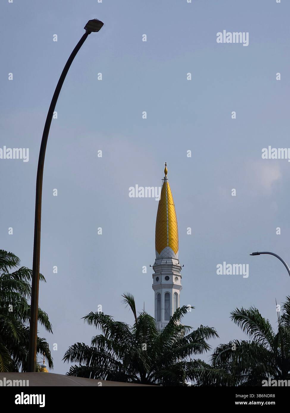 A beautiful mosque minaret behind the coconut tree leaves Stock Photo ...