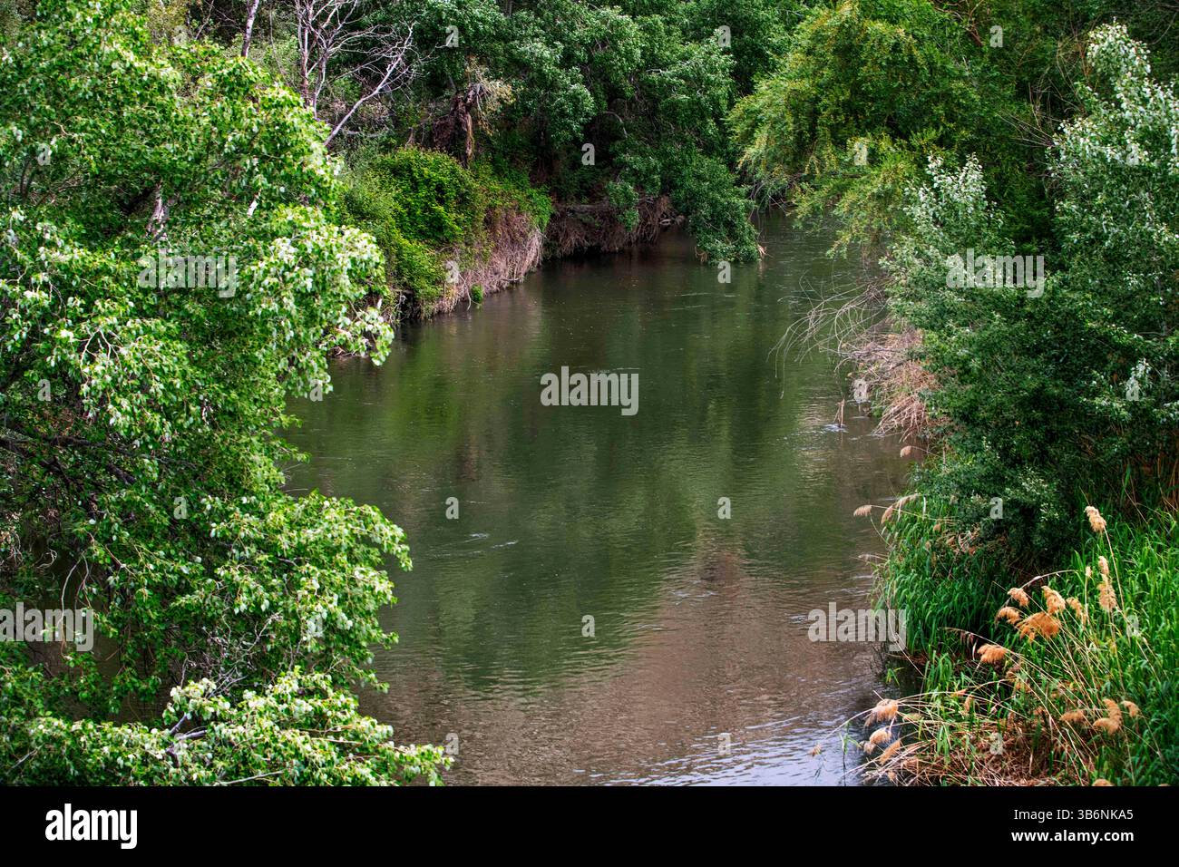 Puente de tren de vapor hi-res stock photography and images - Alamy