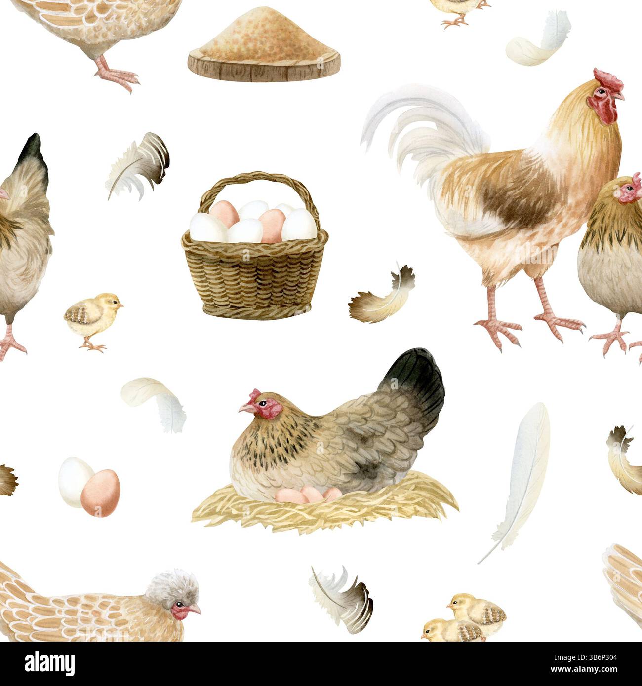 Village chickens, rooster and chicks with eggs and feathers watercolor ...