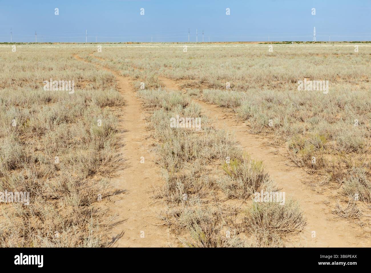 Expansive grassland in Kazakhstan features a dirt path weaving through ...