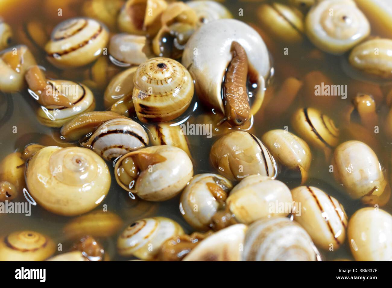 Spanish Tapas Snails Food Background Stock Photo - Alamy