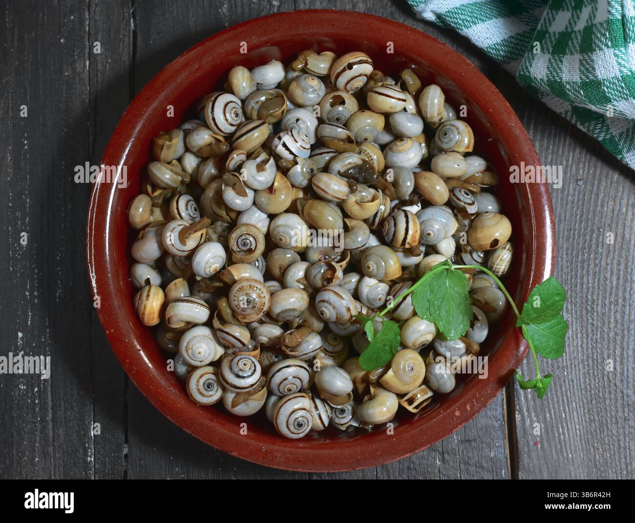 Spanish Tapas Snails Food Background Stock Photo - Alamy