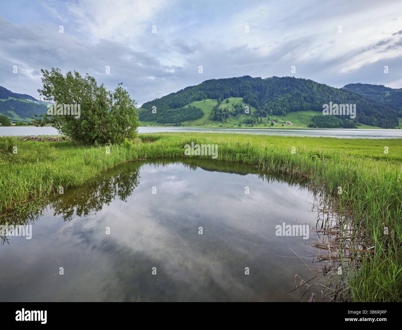 Reservoir, Sihlsee, Euthal, Canton Schwyz, Switzerland, Europe Stock ...