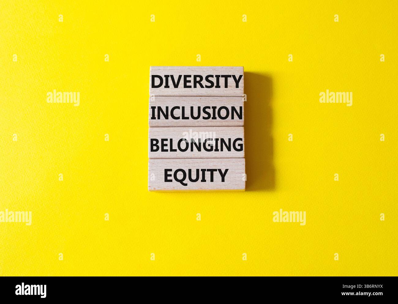 Diversity Inclusion Belonging Equity symbol. Concept words Diversity ...