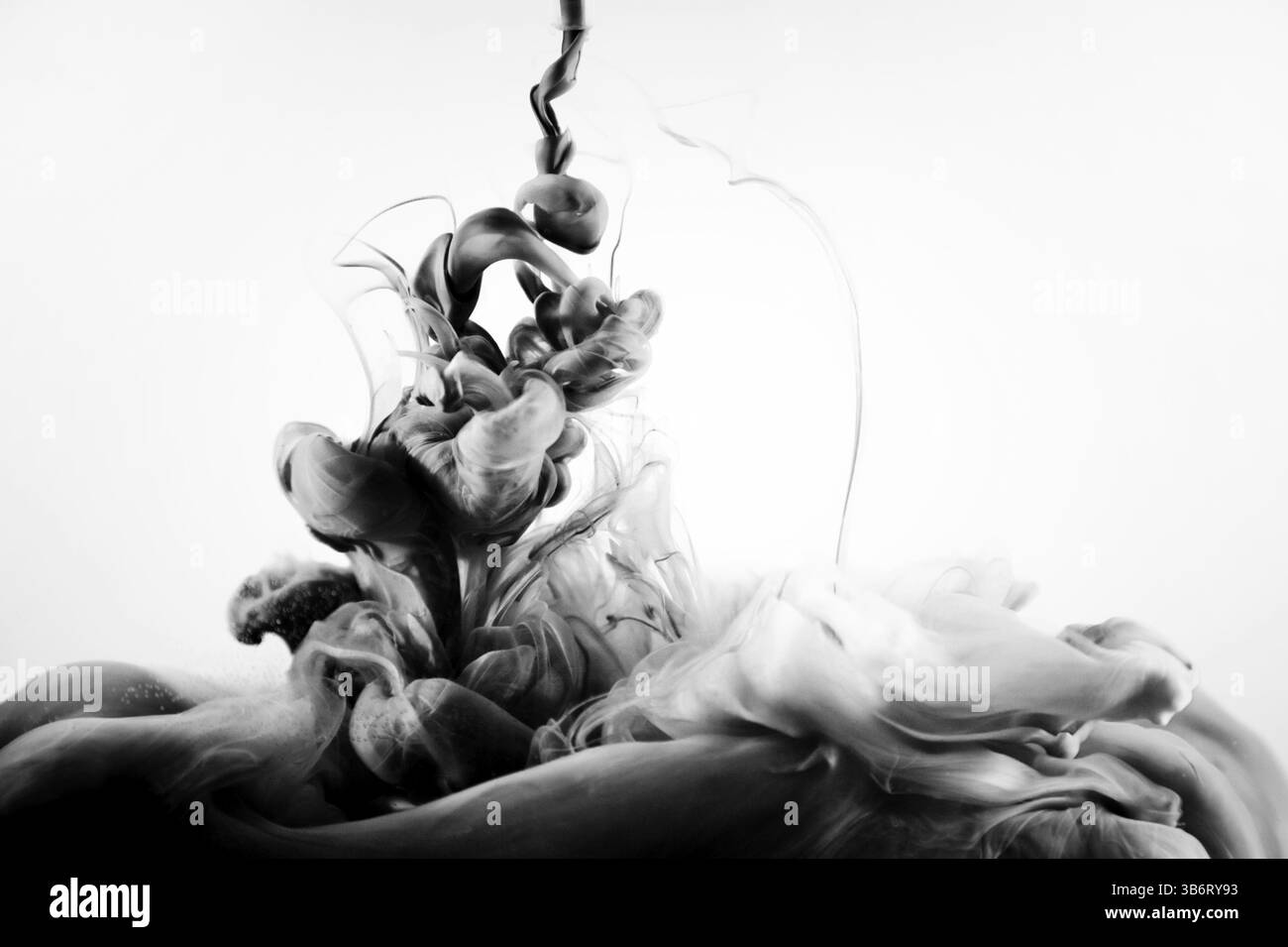 Black and white splash on white background. It is a paint of splash in ...