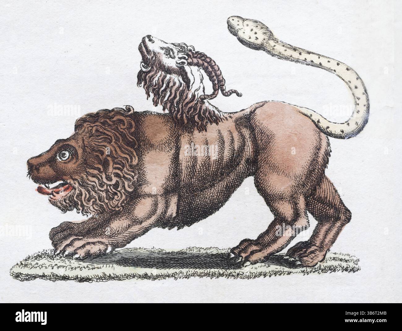 Chimera or Chimaera, mythical creature, hand-coloured copperplate ...