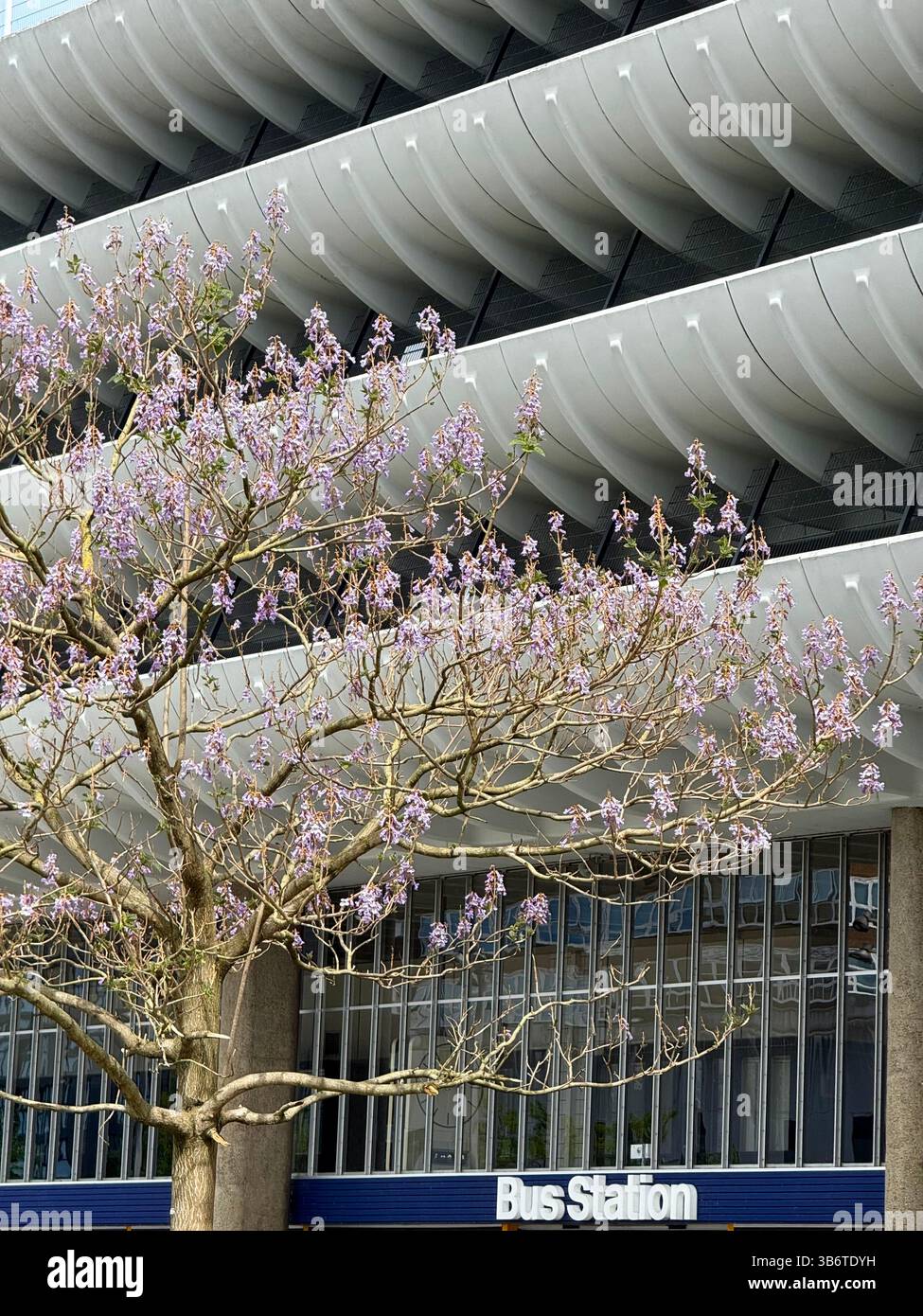 Iconic curved concrete balconies of Preston bus station. An example of ...