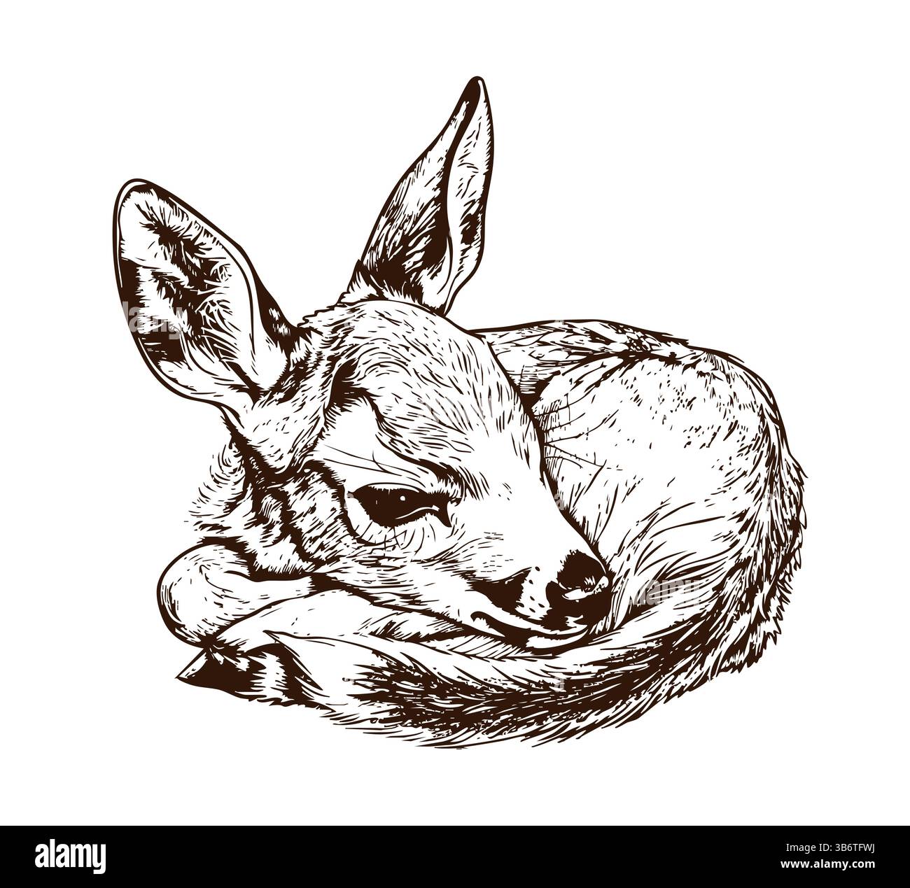 Sketch of fawn. Vector black and white illustration Stock Vector Image ...