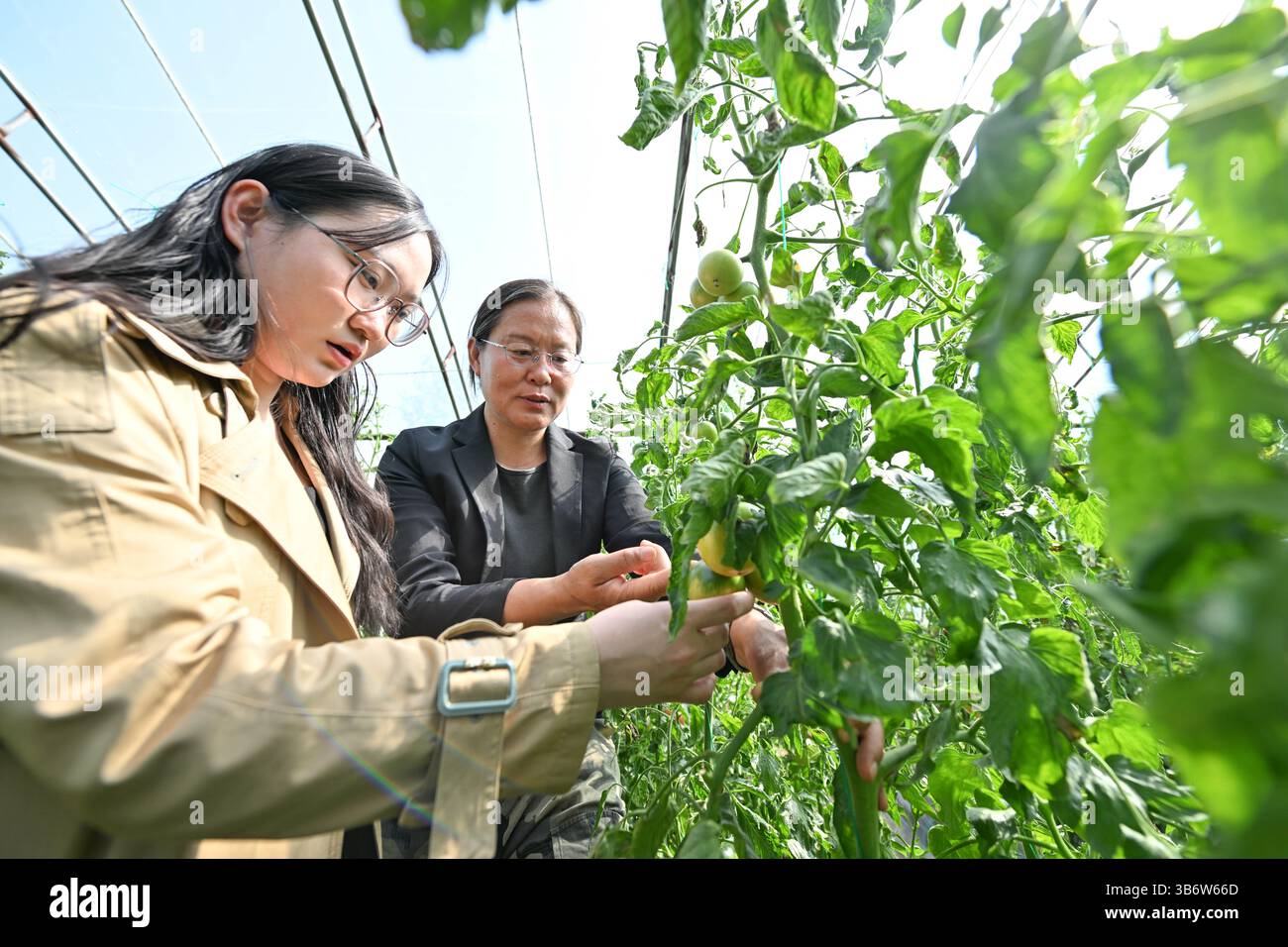(250504) -- TIANJIN, May 4, 2025 (Xinhua) -- Professor Wang Lijuan (R ...