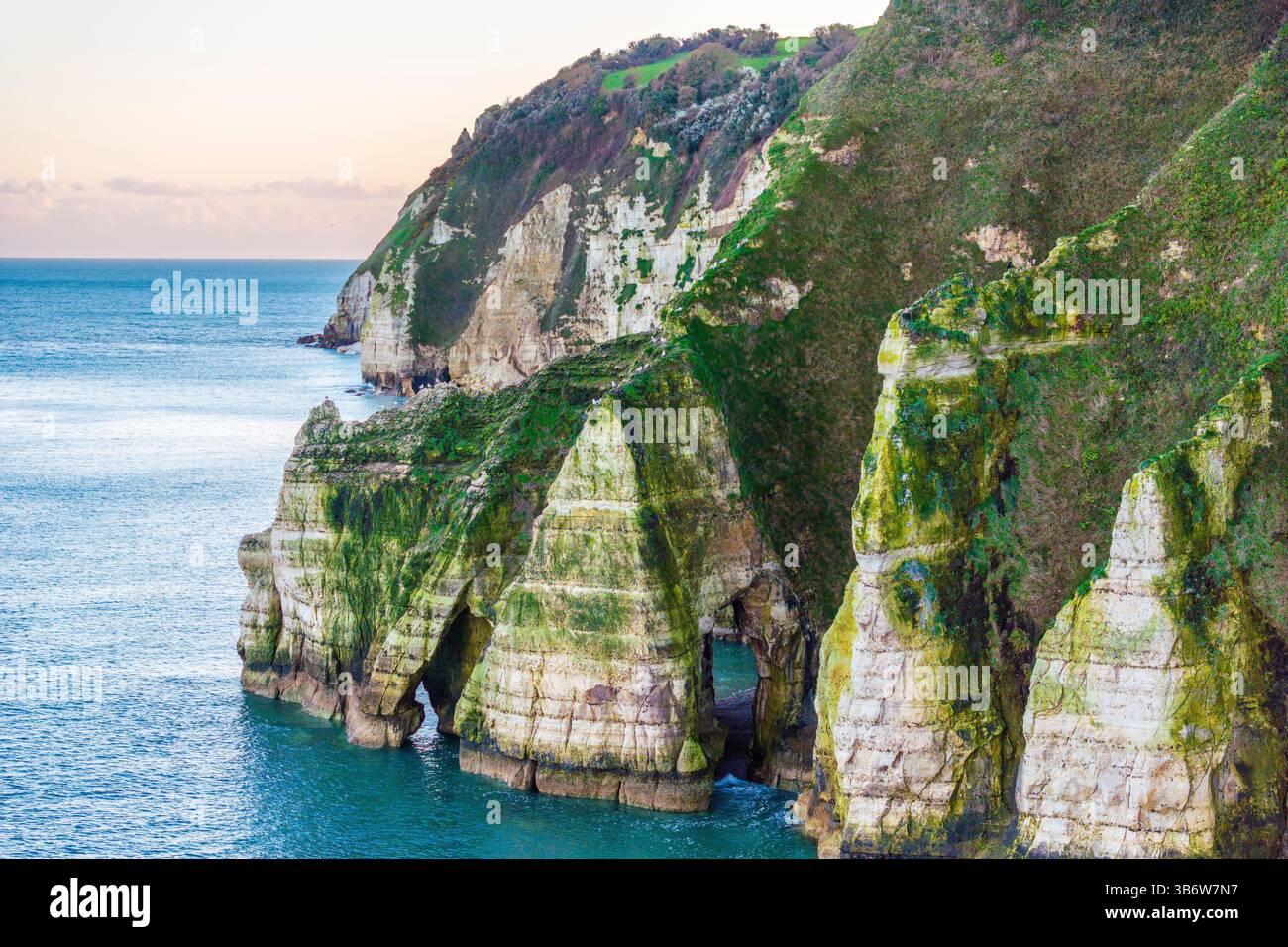 Beer, Devon, England, United Kingdom, Europe Stock Photo - Alamy