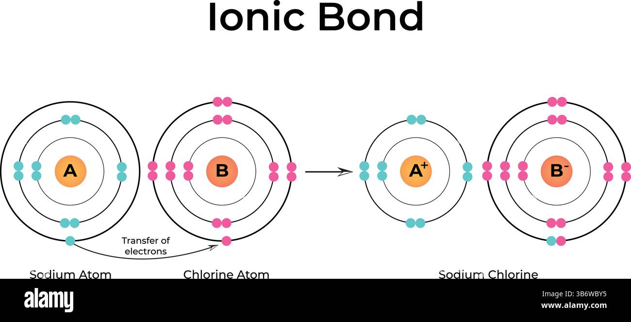 Ionic Bond Formation Design Vector Illustration Stock Vector Image & Art - Alamy