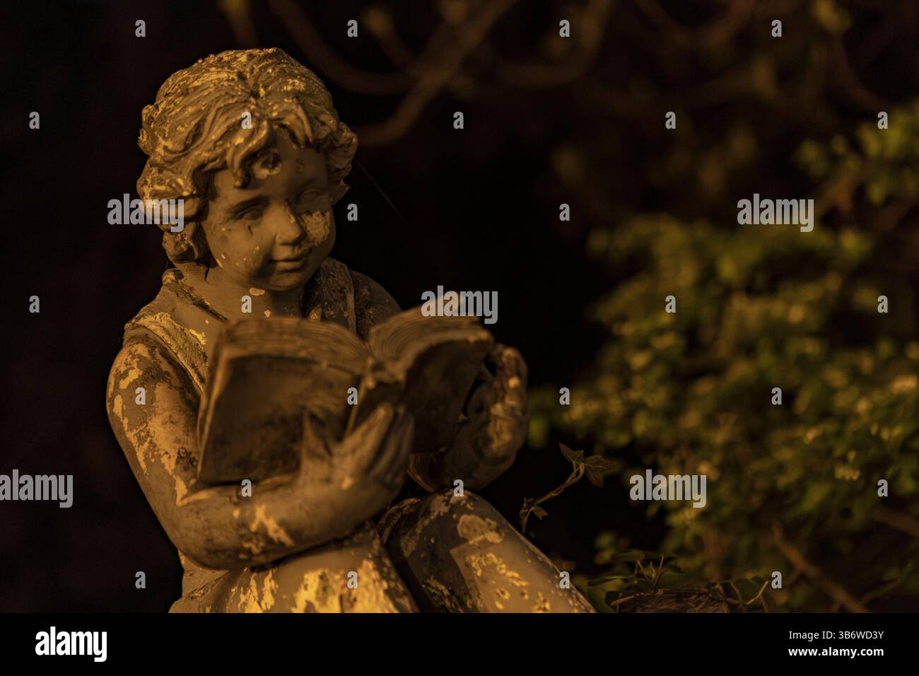 Weathered cherub statue reading an old book in a night garden setting ...