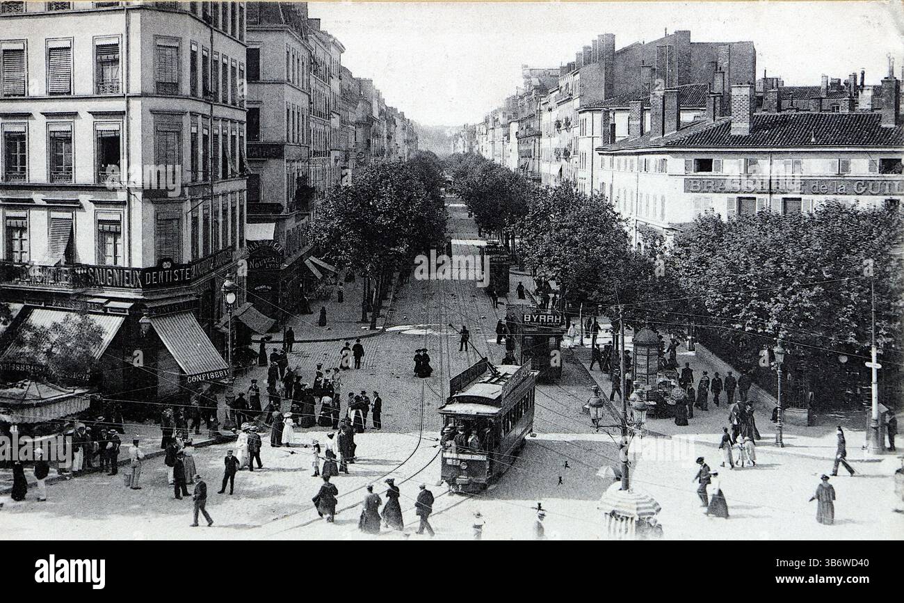 Trams, people and commercial buildings: Cours de la Liberté is a ...