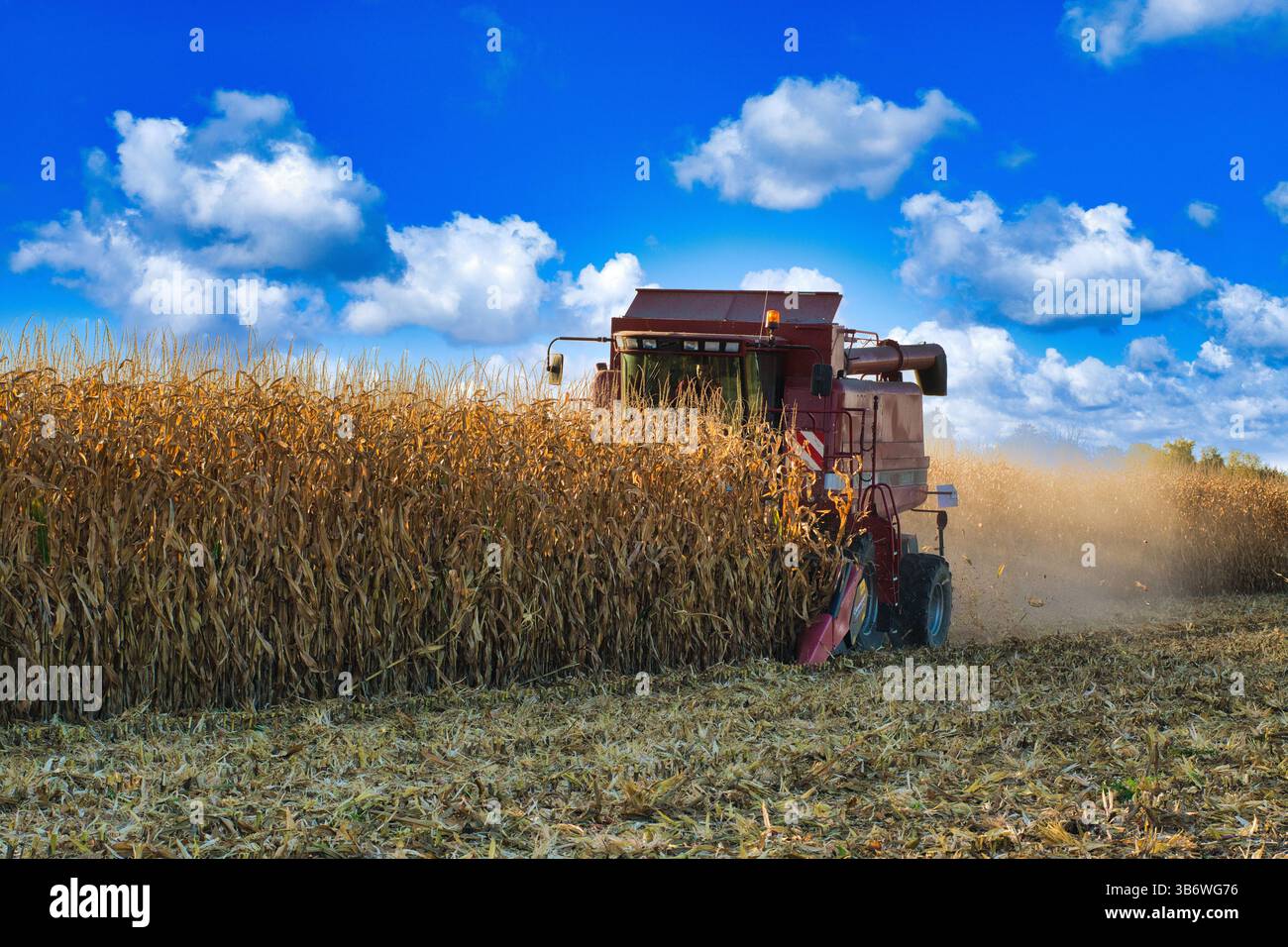 Combine harvester processes corn hi-res stock photography and images ...