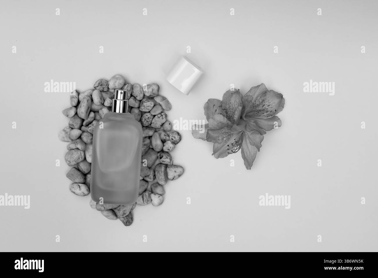 Colored brown Black and White Stock Photos & Images - Alamy