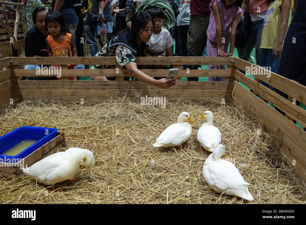Bangkok, Thailand. 04th May, 2025. A visitor takes a picture of ducks ...