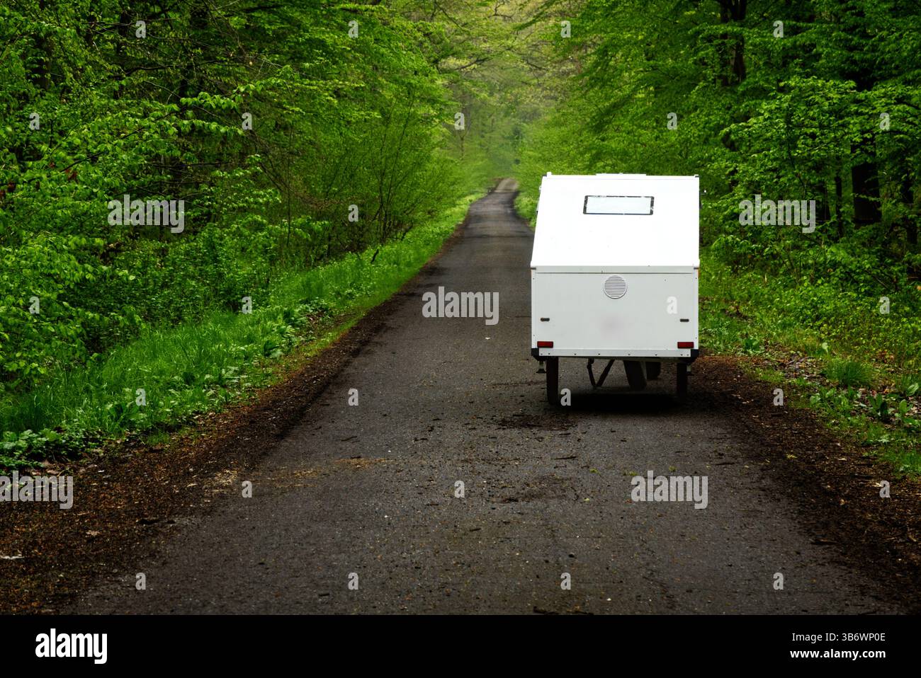 Small, white camper trailer parked on a paved road in a lush green ...