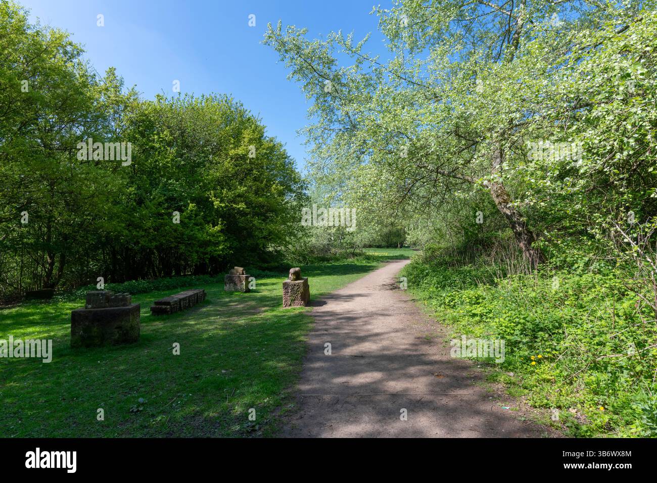 Path through Anderton nature park in spring sunshine. Northwich ...