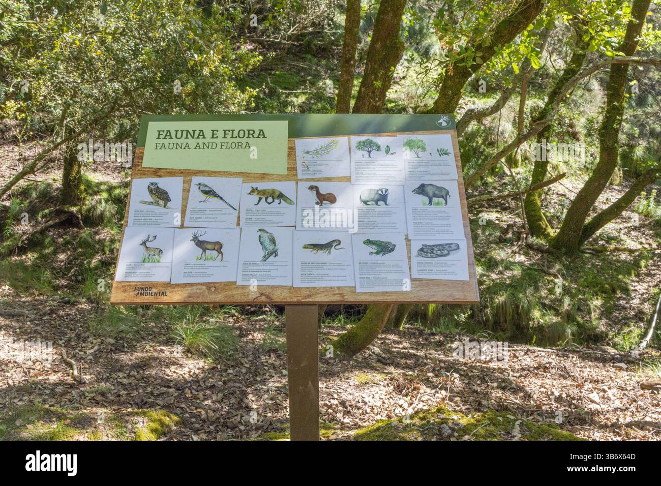 Wooden informative sign illustrating local fauna and flora species in ...