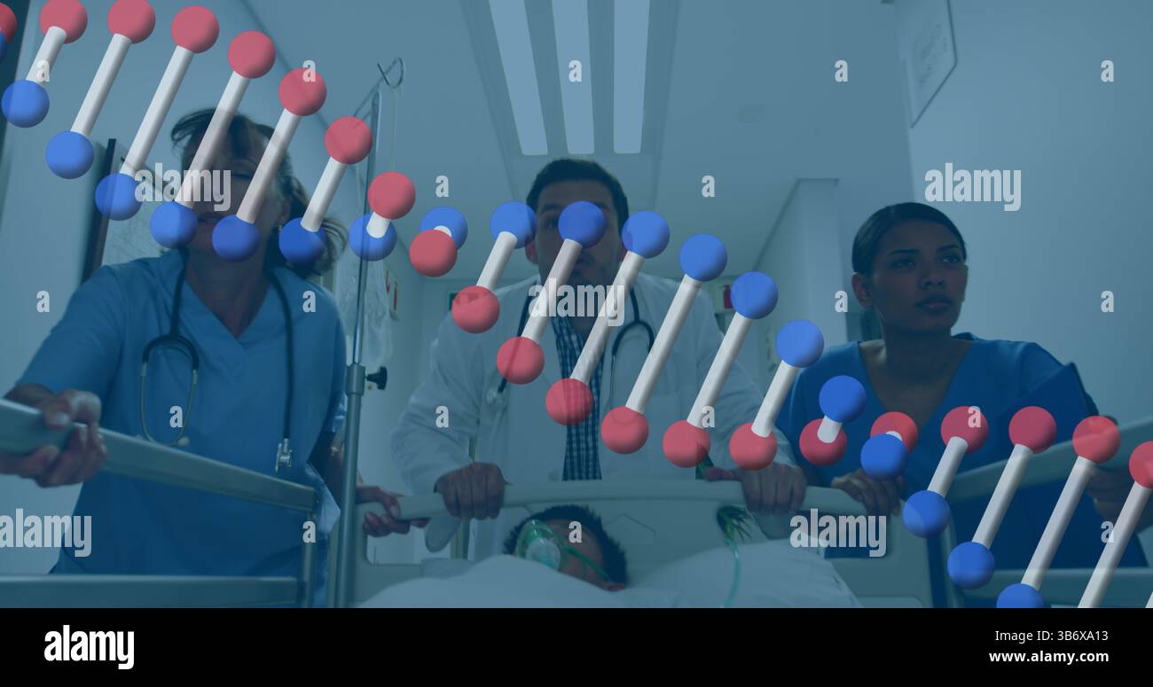 Image of dna over diverse female and male doctors running with bed with ...