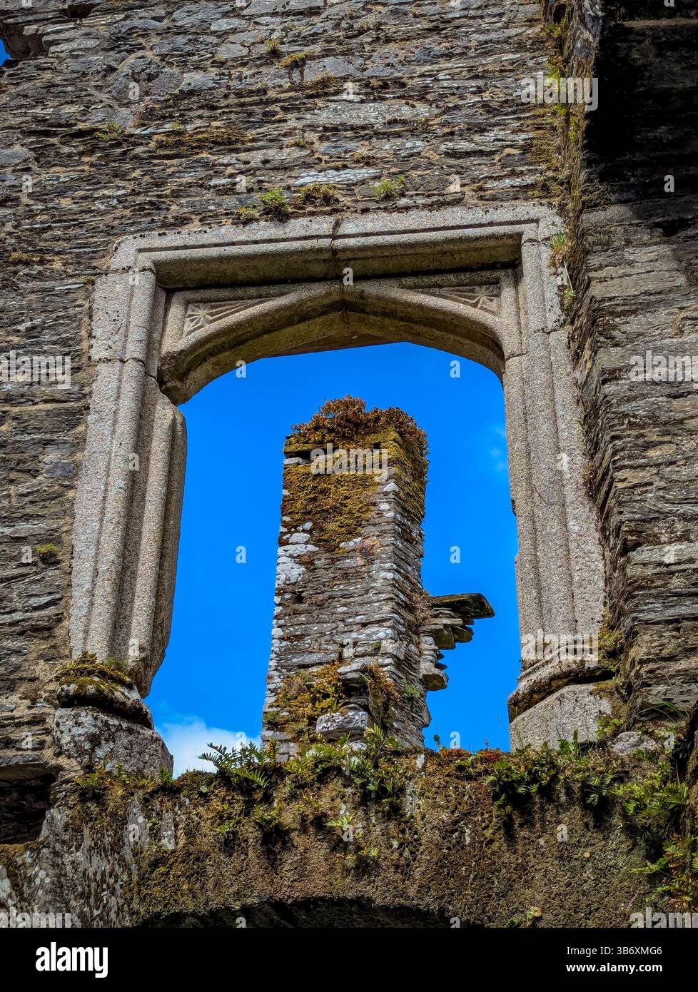 Torbay, UK. 3 May 2025. Visitors explore the historic ruins and sunny ...