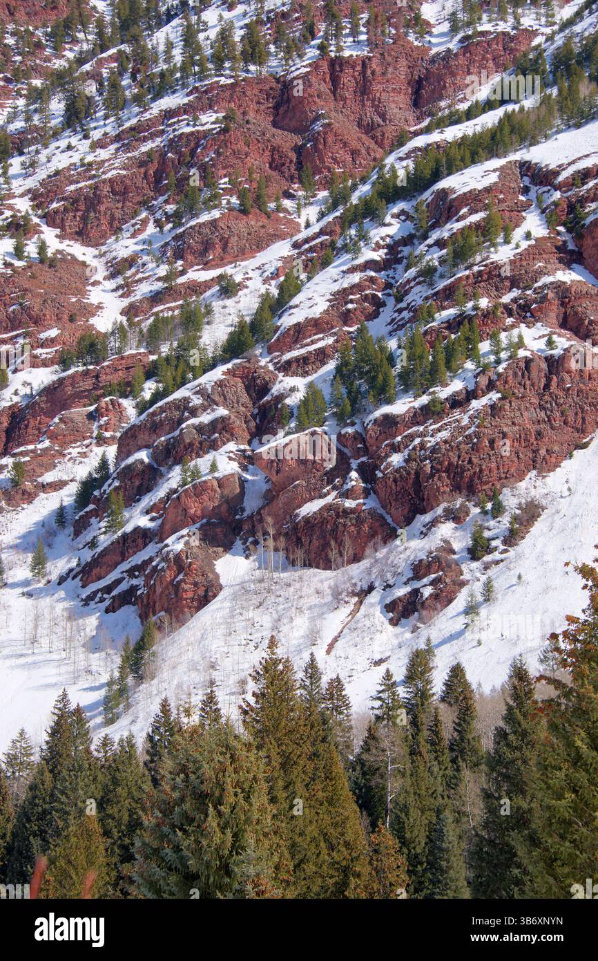 Snow-covered red rock cliffs adorned with evergreen trees in a serene ...