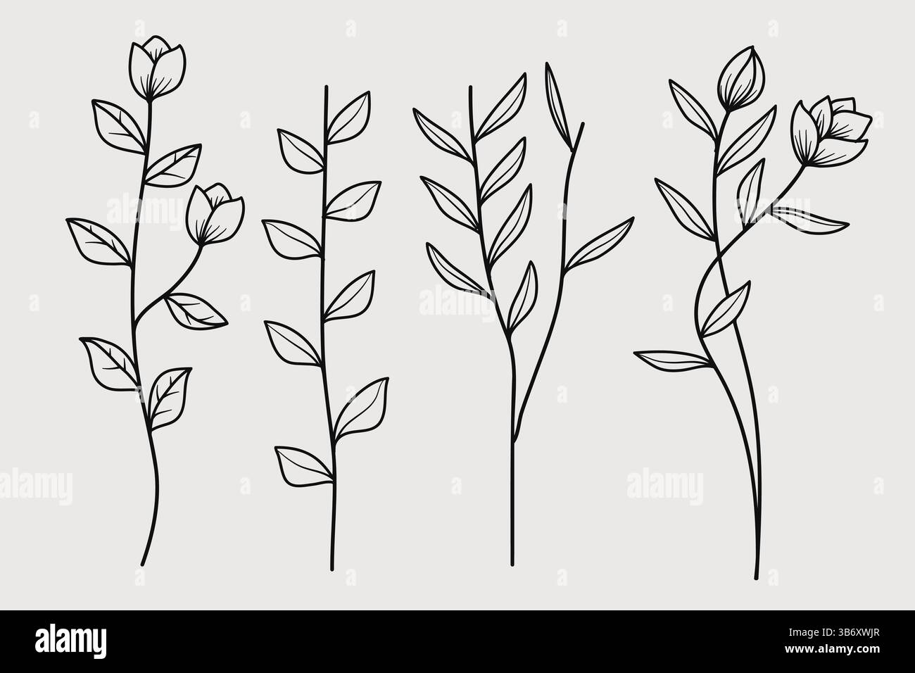 Hand-Drawing Twigs with Leaves in a Botanical collection.Vector ...