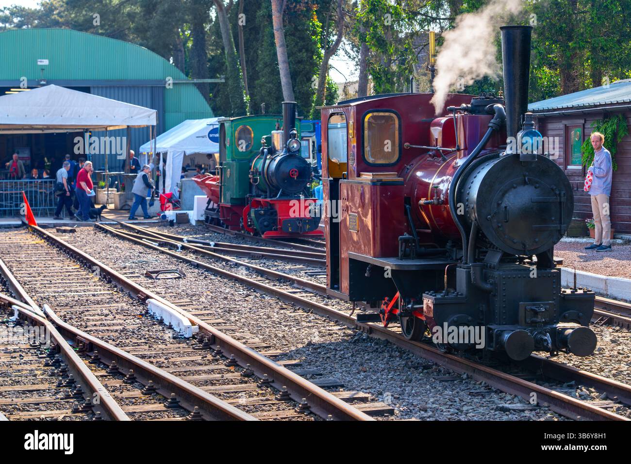 Narrow-gauge steam locomotives at Stoomtrein Maldegem-Eeklo, heritage ...