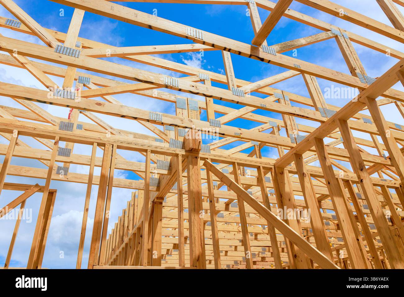 Worker are building wooden trusses frame structure with beams trusses ...