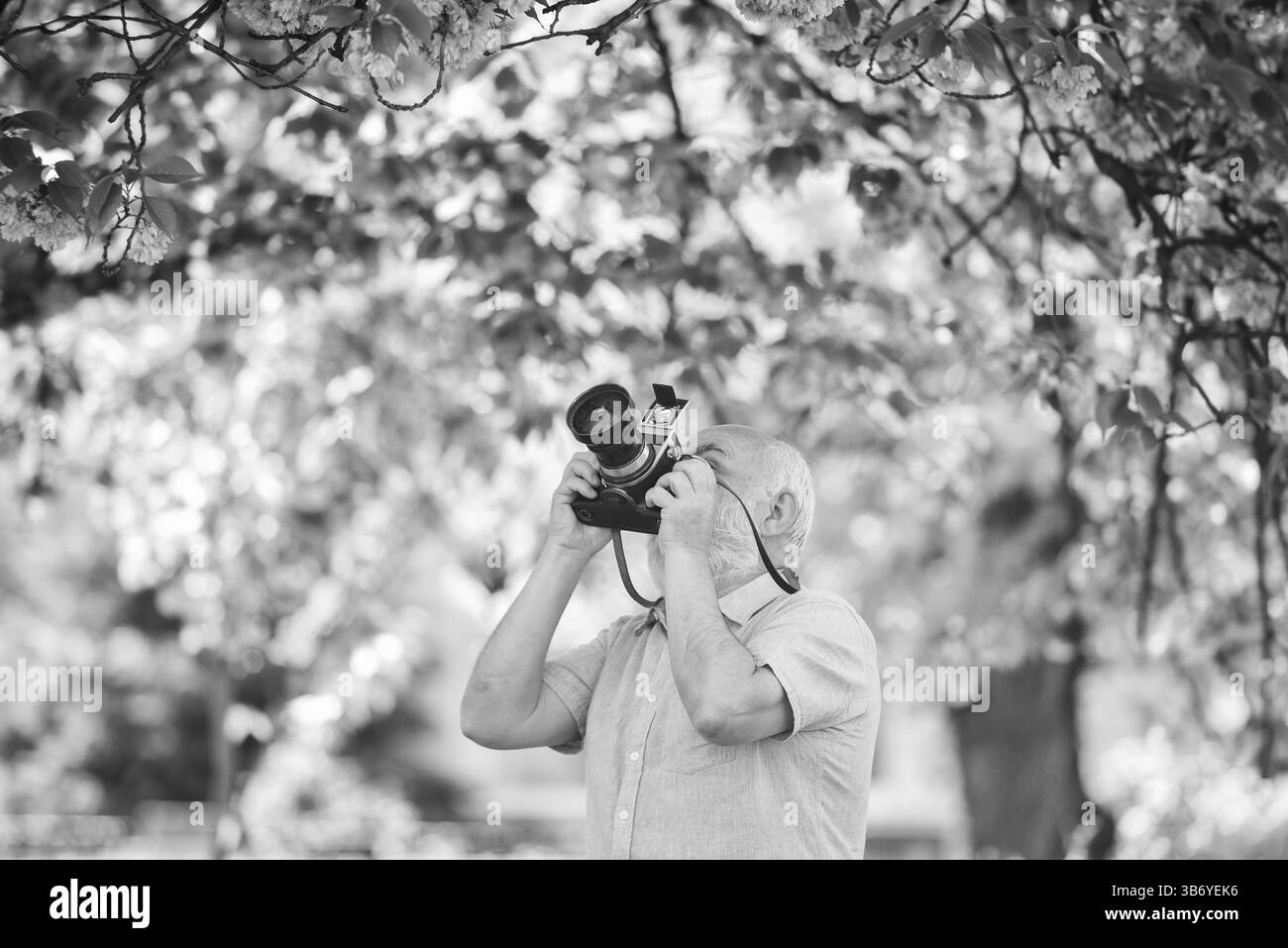 Hobby and leisure. Experienced photographer in spring garden. Senior ...