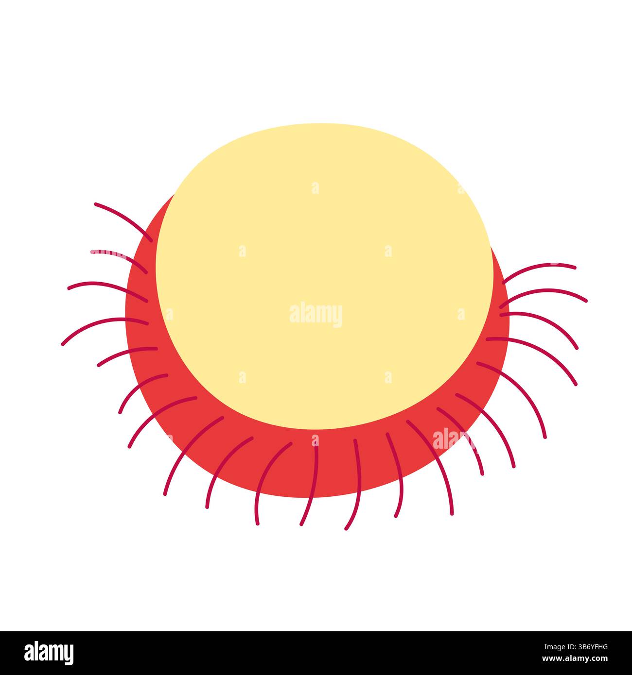 Hand drawn rambutan fruit Cut Out Stock Images & Pictures - Alamy