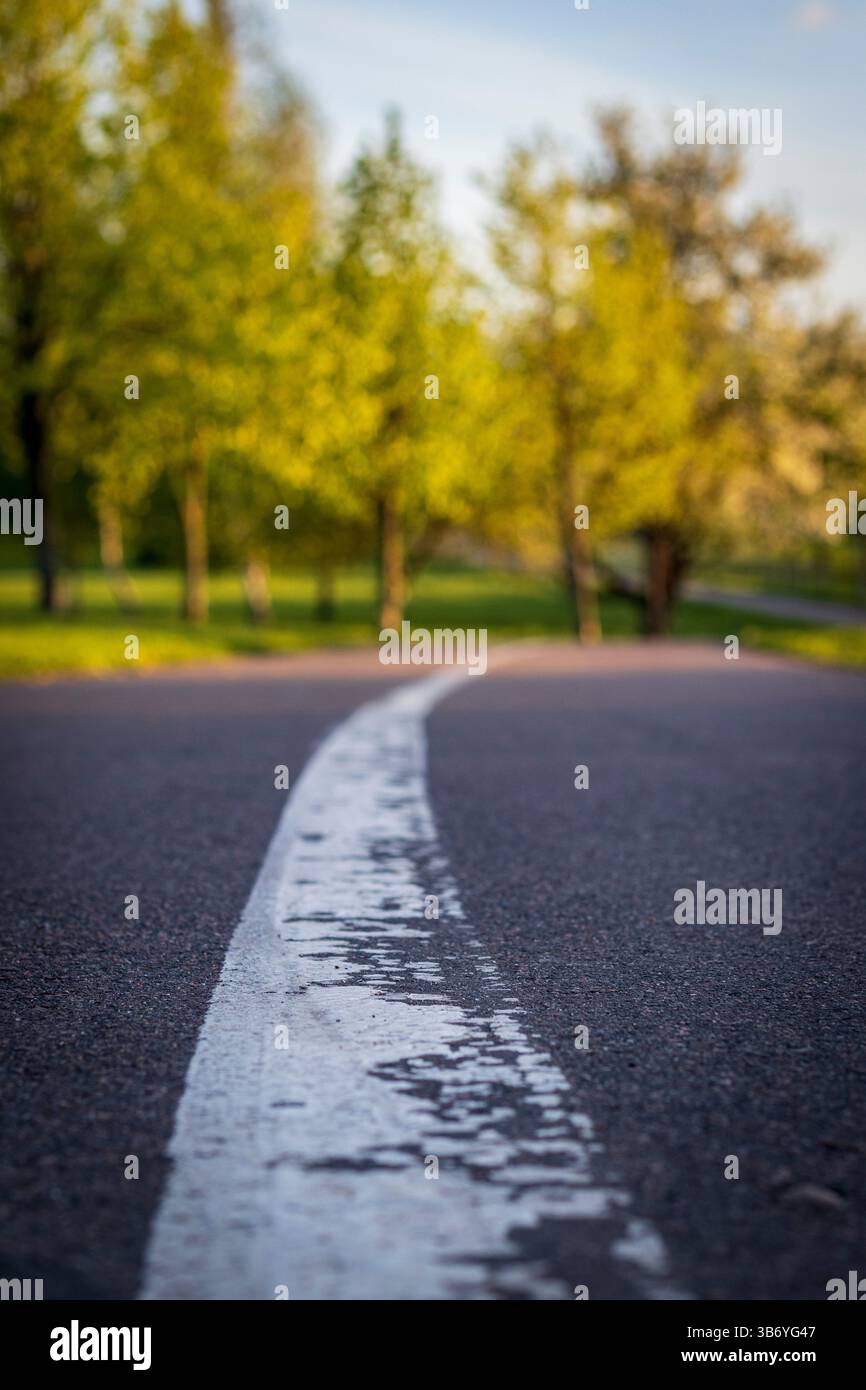 Asphalt surface with painted dividing lane Stock Photo - Alamy