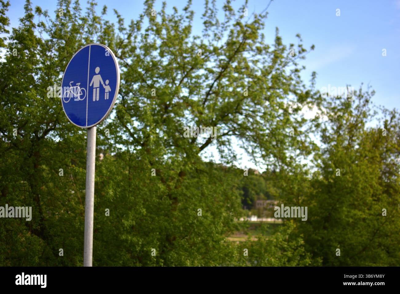 Bicycle and pedestrian lane road sign on pole post, Blue round bike ...