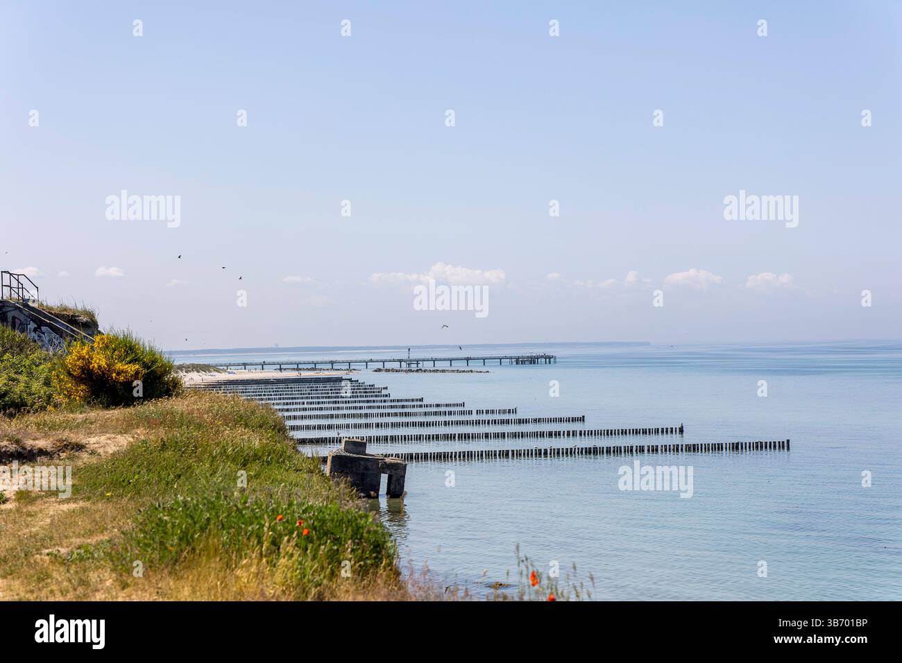 This tranquil Baltic Sea beach on the Darß Peninsula showcases wooden ...