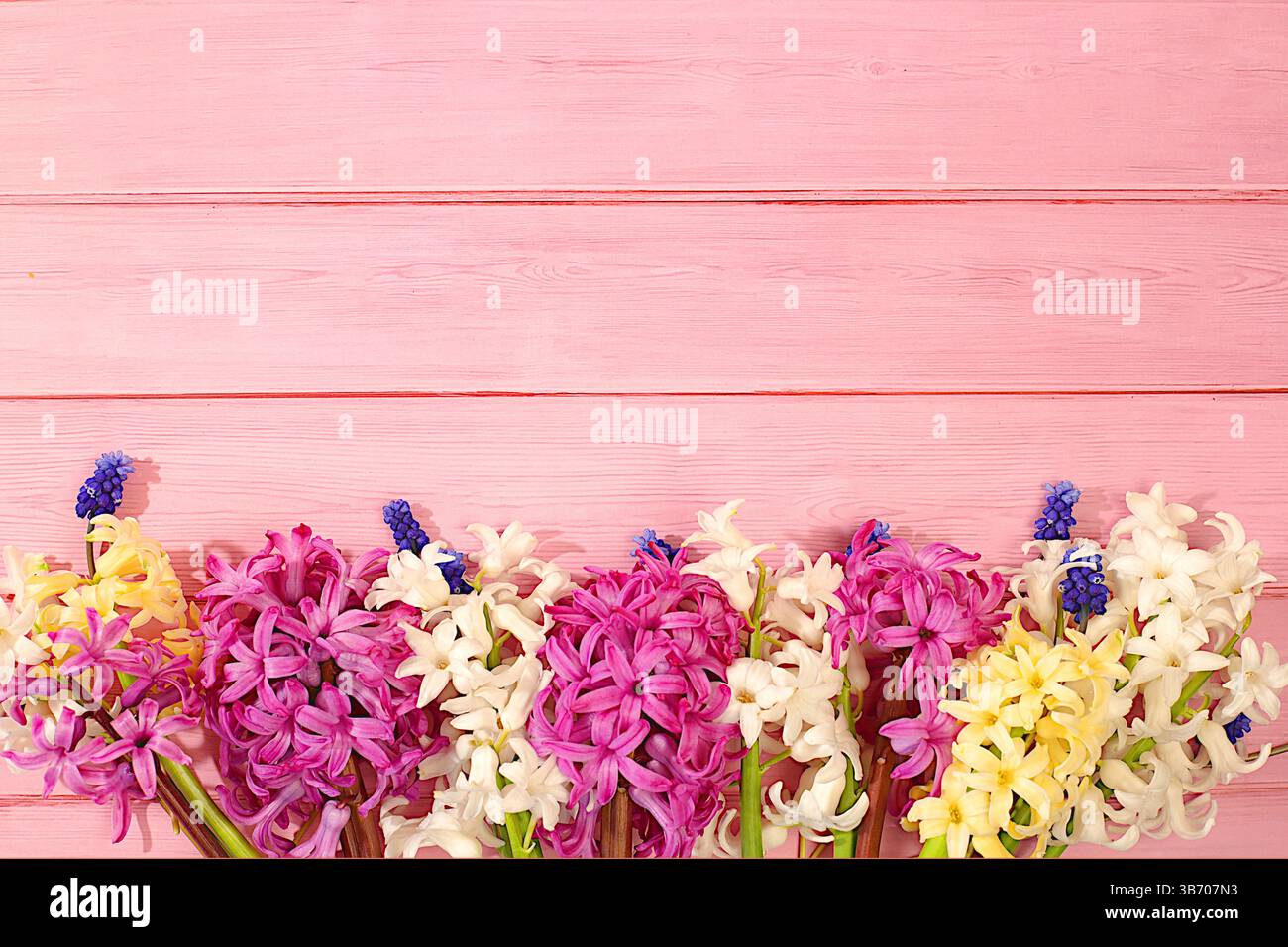 Abstract flower arrangement. Beautiful banner of different varieties of ...