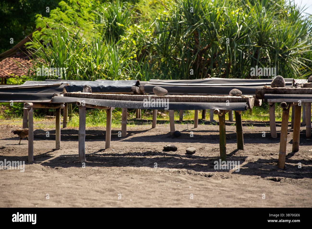 Indonesian Black Volcano Salt Making in the Kusamba Village Stock Photo ...