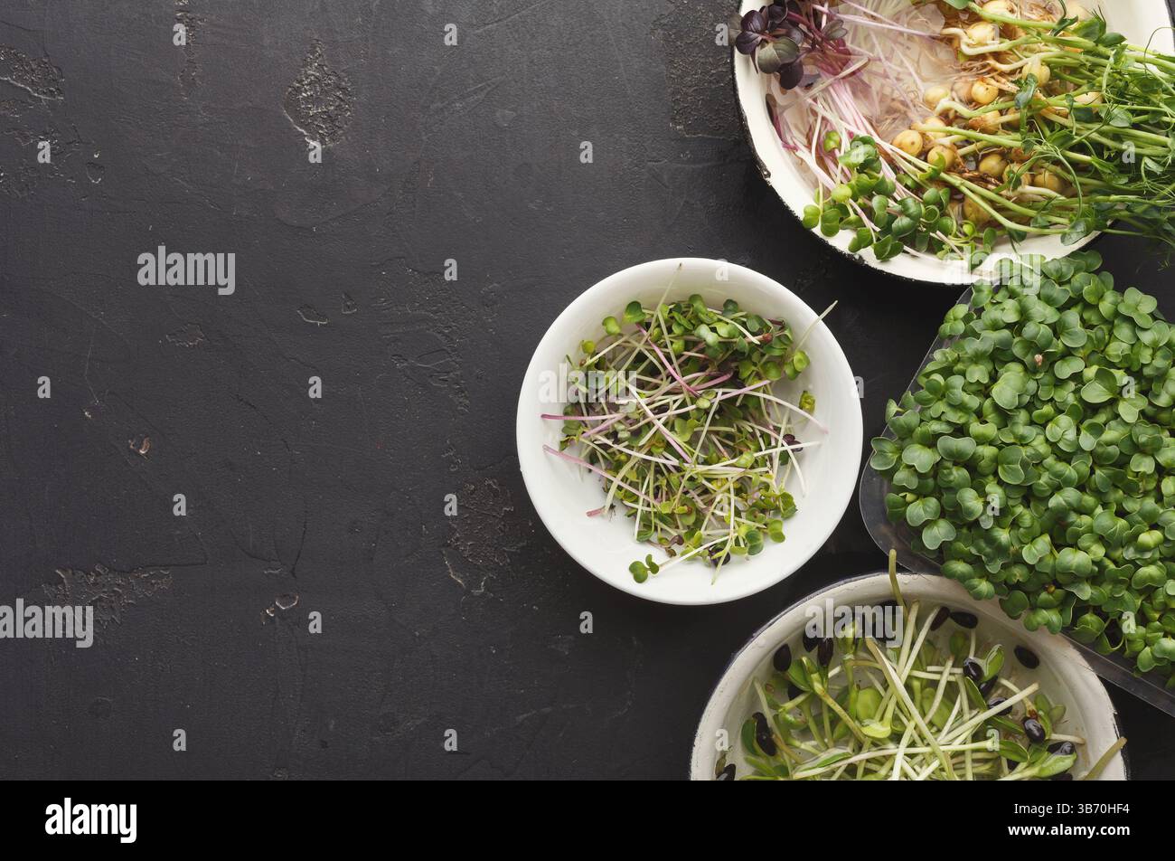 Different kinds of micro greens Stock Photo - Alamy