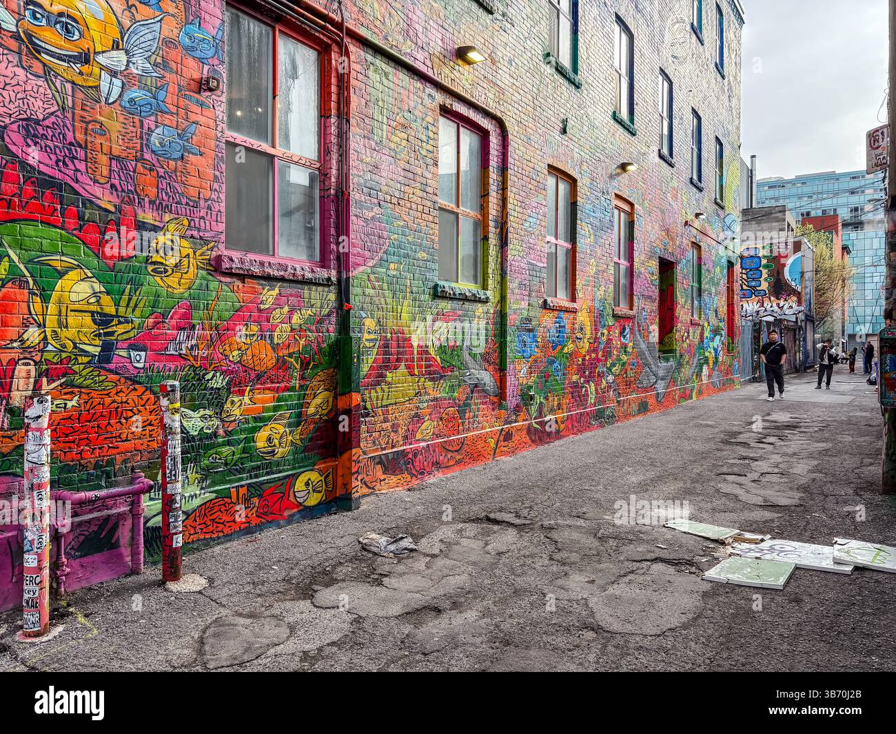 Graffiti Alley, officially Rush Lane, features colorful murals covering ...